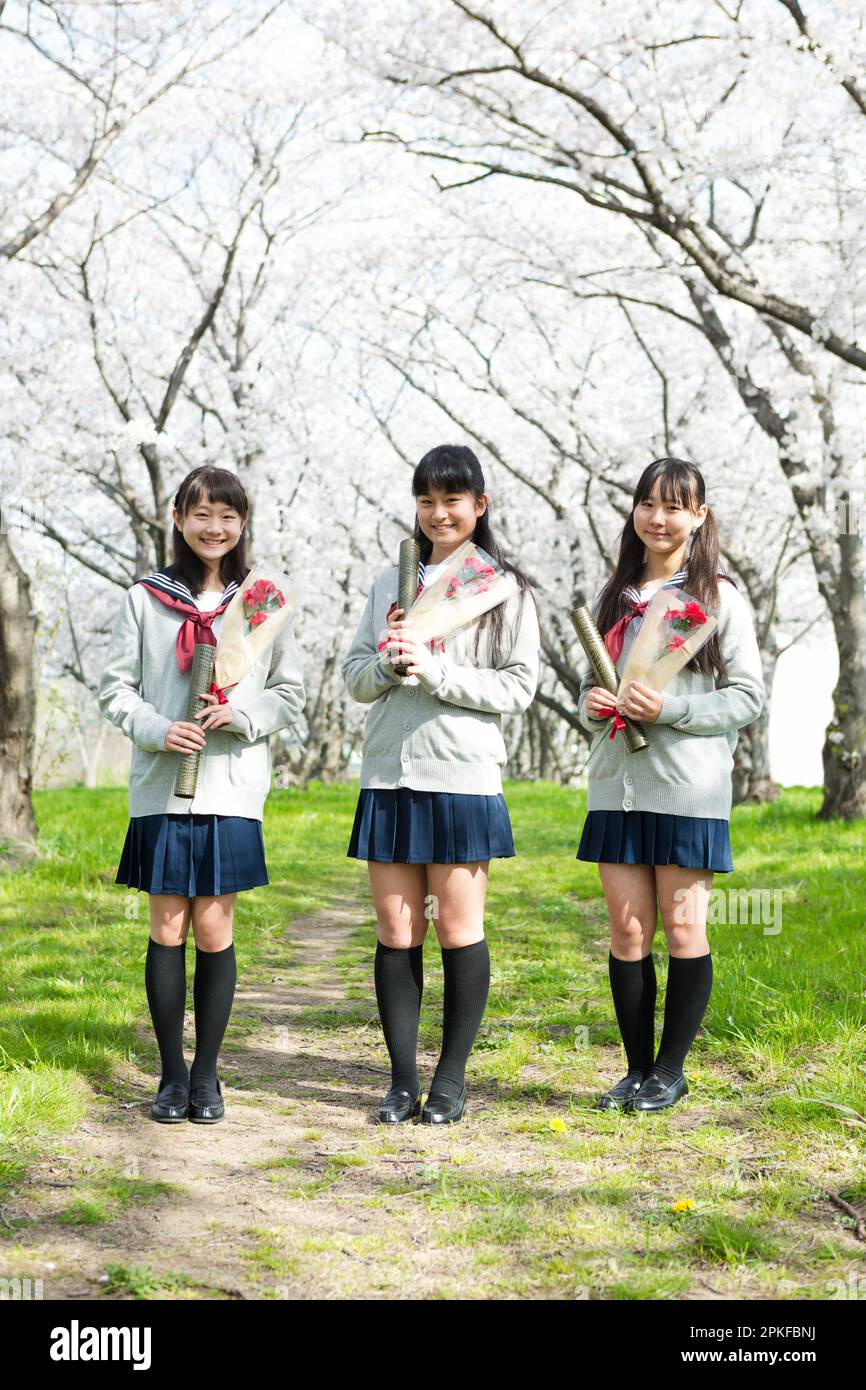 School Girl Standing in a Row of Cherry Trees Stock Photo - Alamy