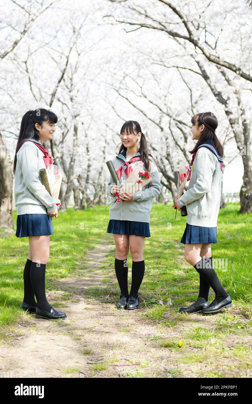 Schoolgirls having a conversation Stock Photo - Alamy
