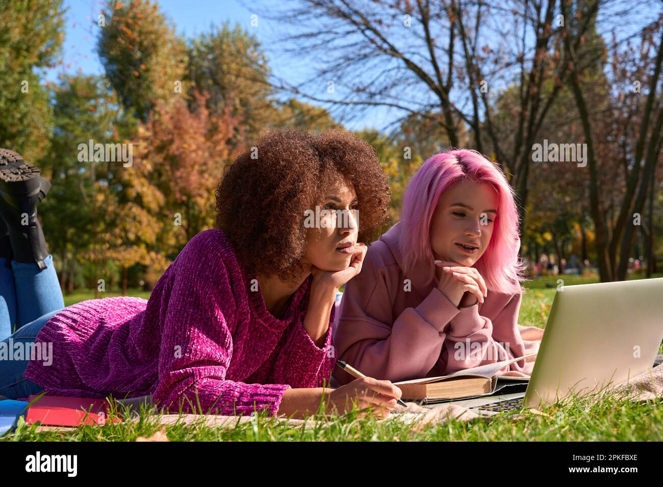 Two female students doing homework in park Stock Photo - Alamy