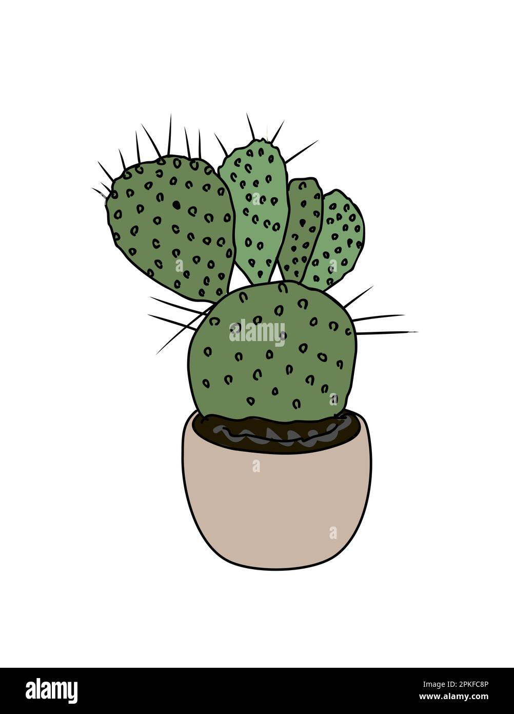 Big cactus plant tropical Cut Out Stock Images & Pictures - Alamy