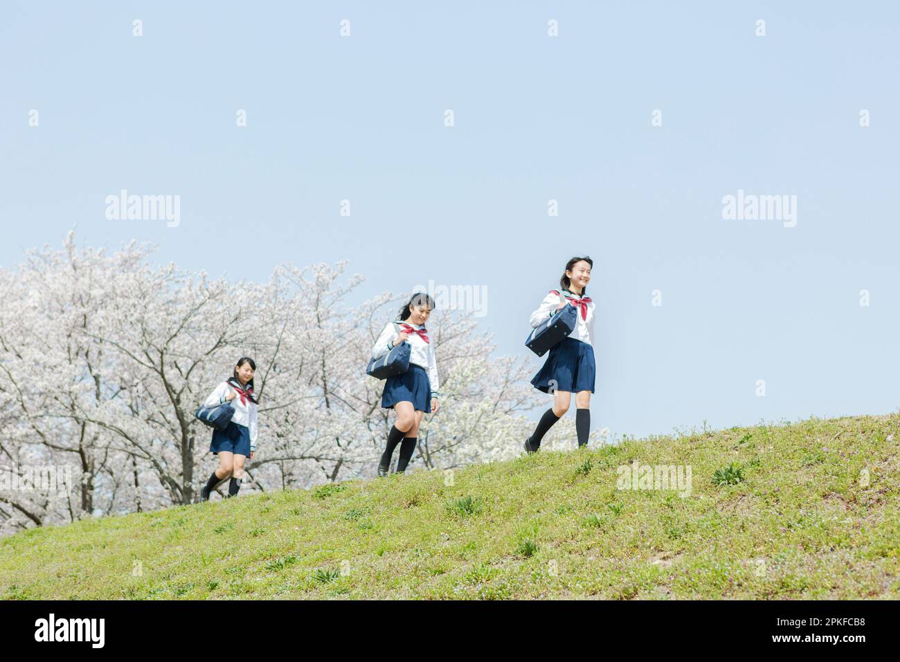 Schoolgirls walking in a row Stock Photo - Alamy