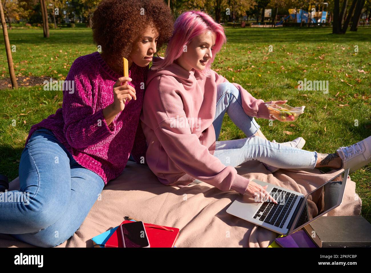 Two women using portable computer at picnic in park Stock Photo - Alamy