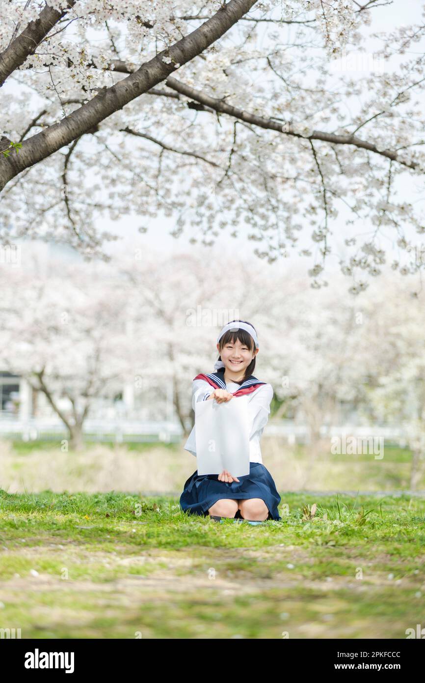 Schoolgirl doing calligraphy under the cherry blossom tree Stock Photo ...