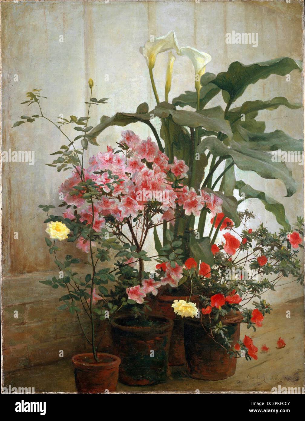 Side of a Greenhouse between 1870 and 1880 (?) by George Cochran ...