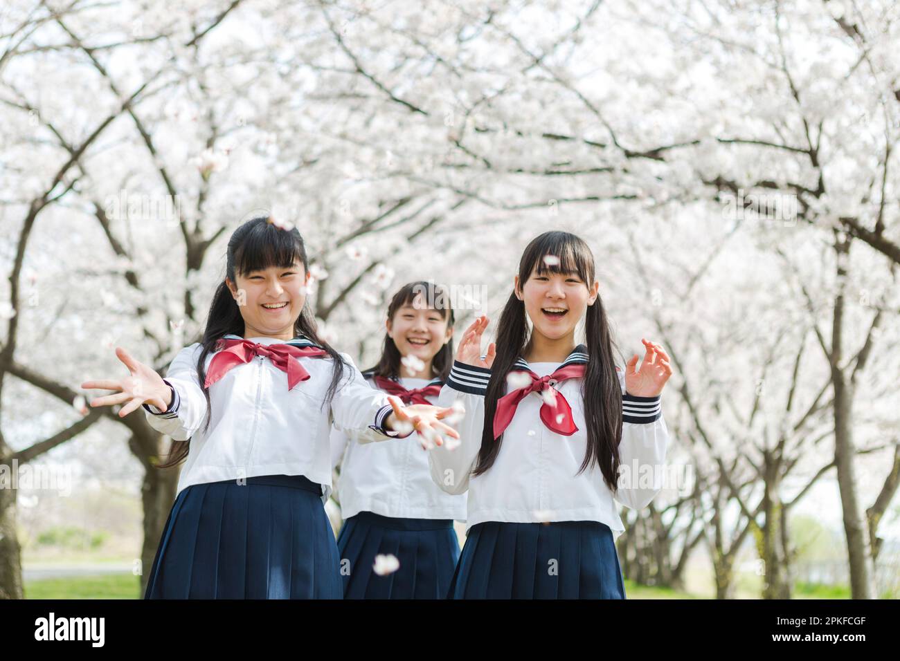 Sprinkling flower hi-res stock photography and images - Alamy