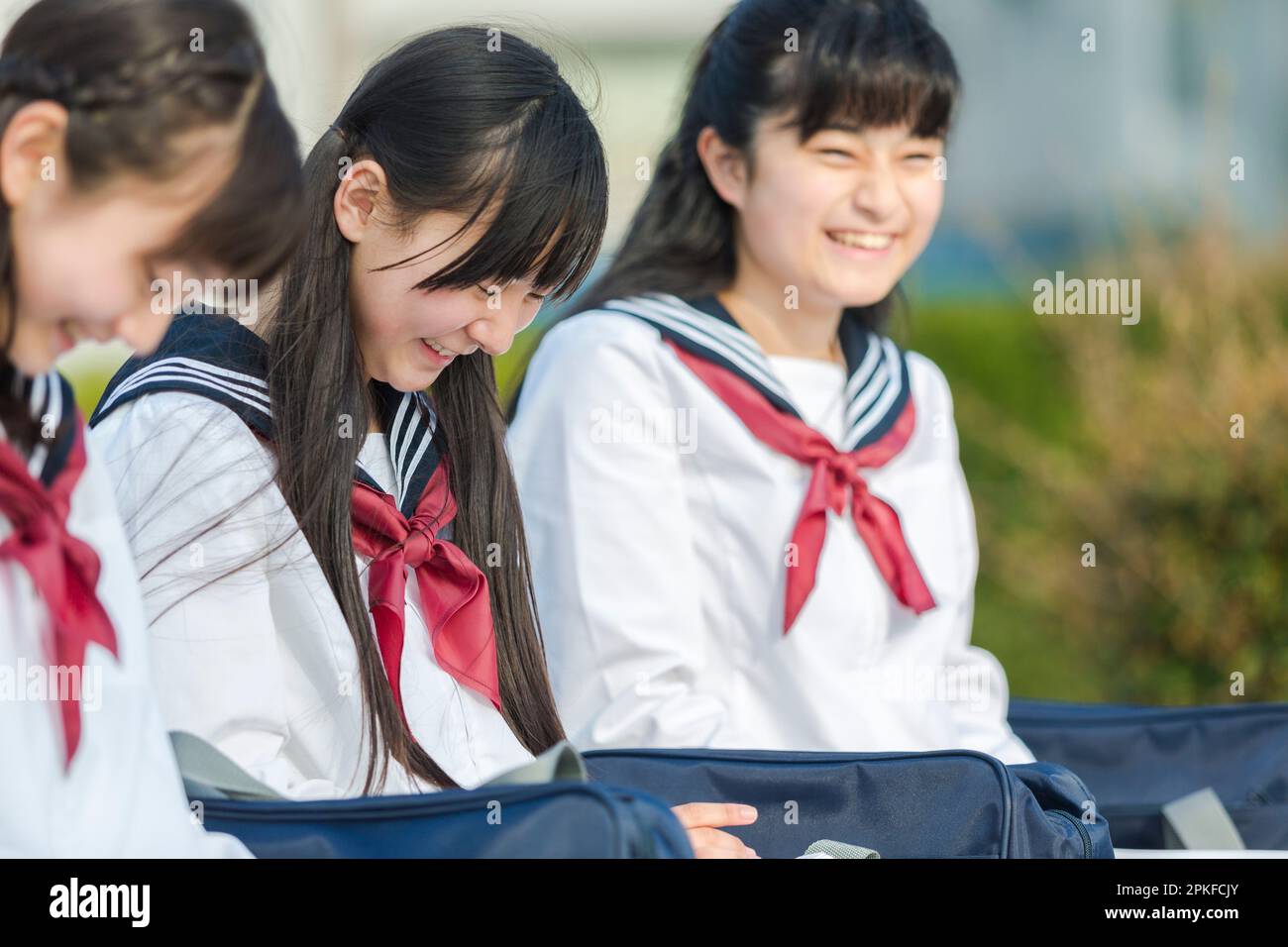 Junior high school girls studying in the park Stock Photo - Alamy