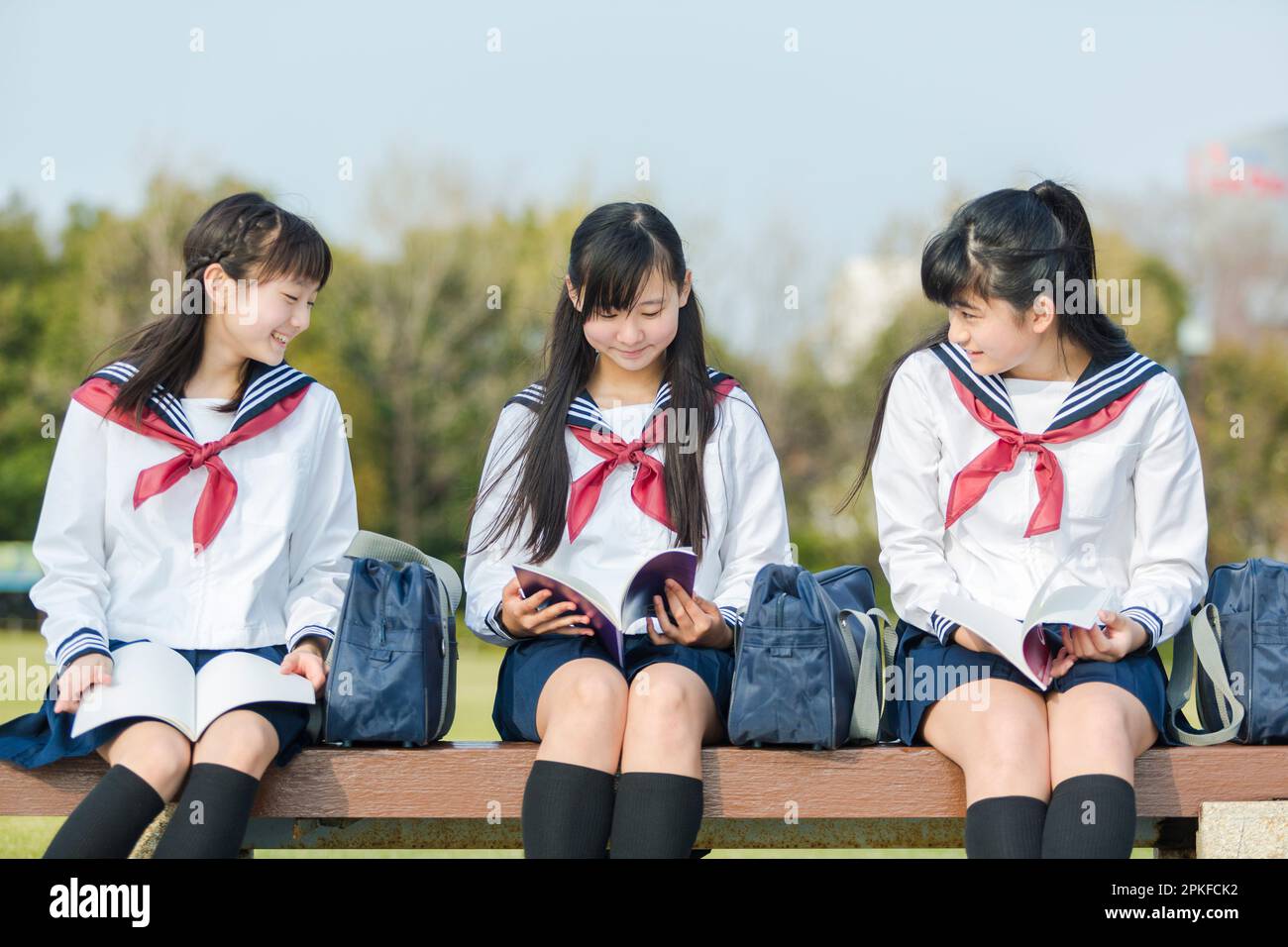 School girls studying hi-res stock photography and images - Alamy