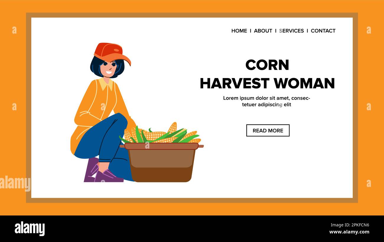 corn harvest woman vector Stock Vector Image & Art - Alamy