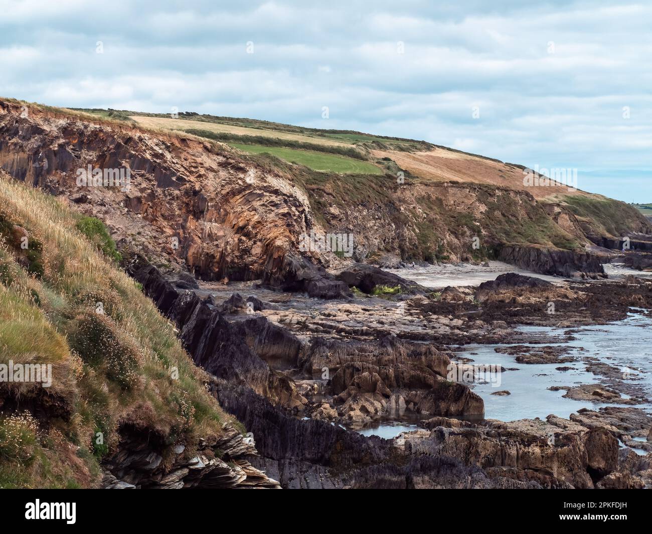 Picturesque landscape. Wild vegetation on stony soil. Cloudy sky. Views ...
