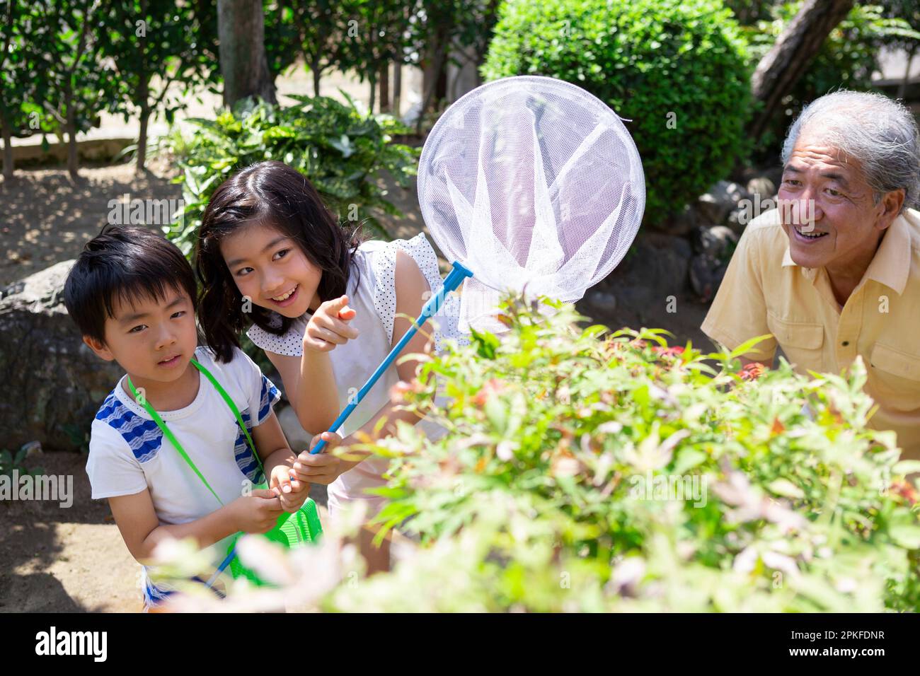 Sister, brother and grandfather catching insects Stock Photo - Alamy