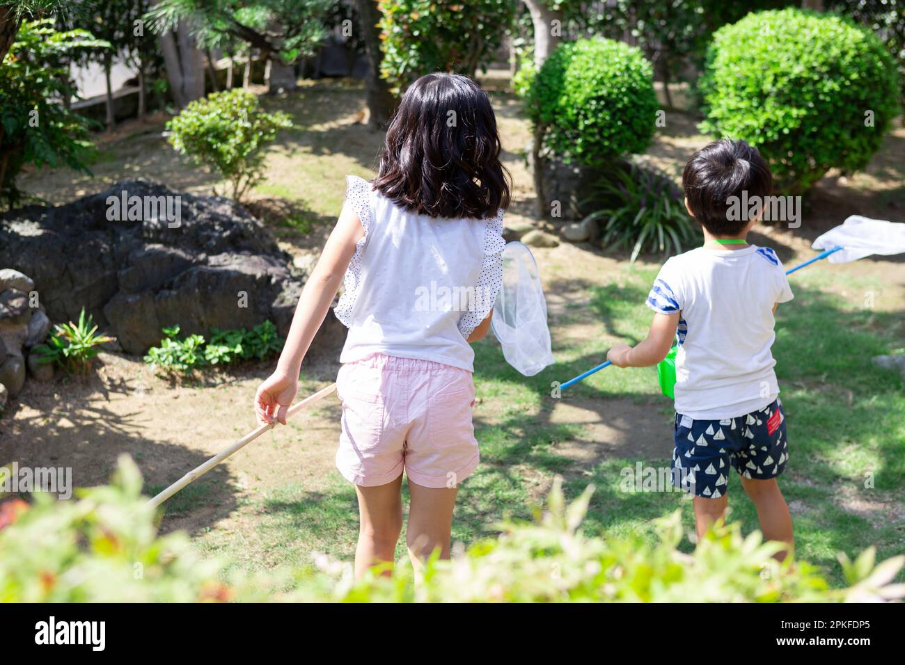 Sister and brother catching insects Stock Photo - Alamy
