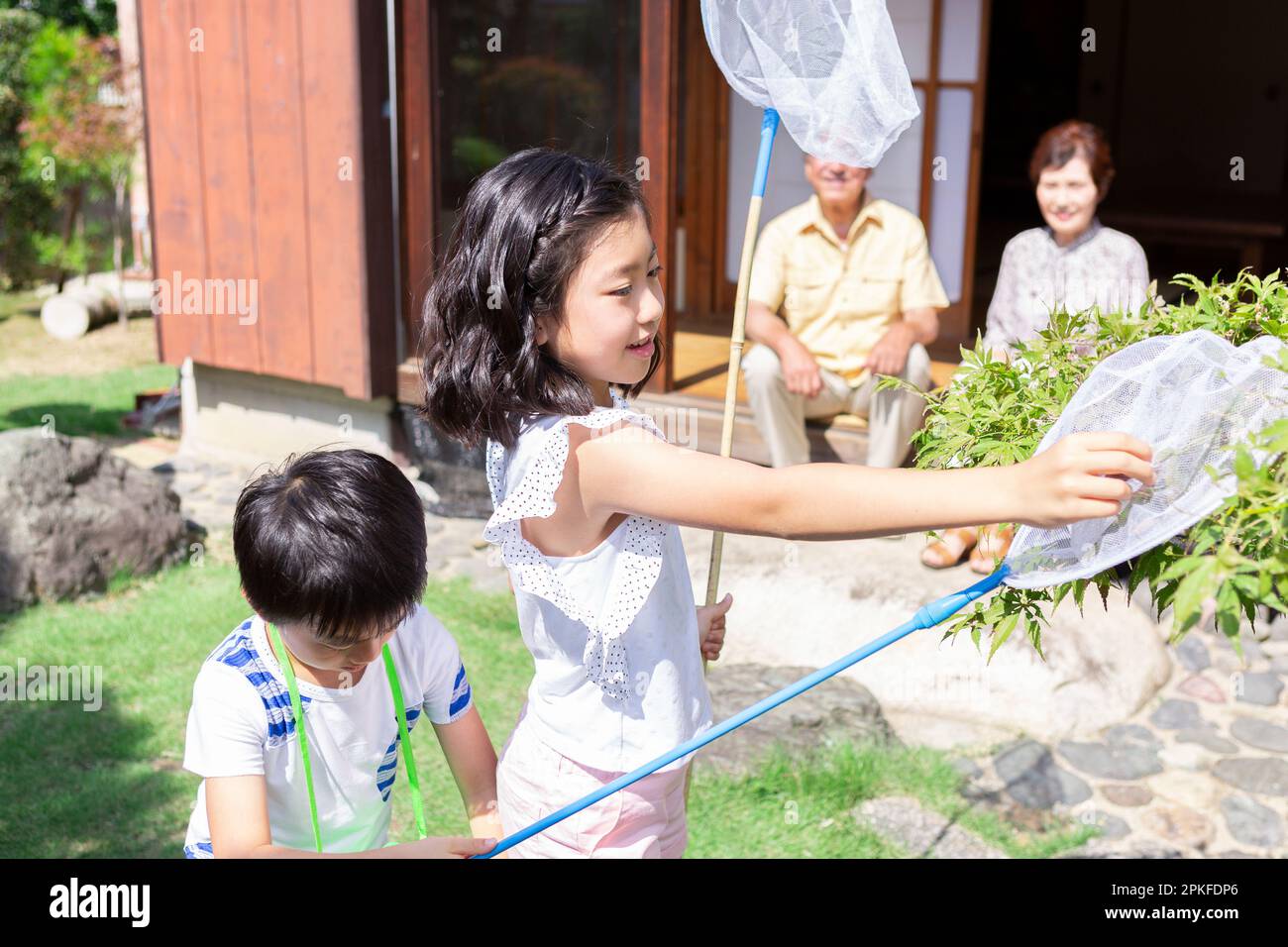 Siblings and grandparents catching insects Stock Photo - Alamy