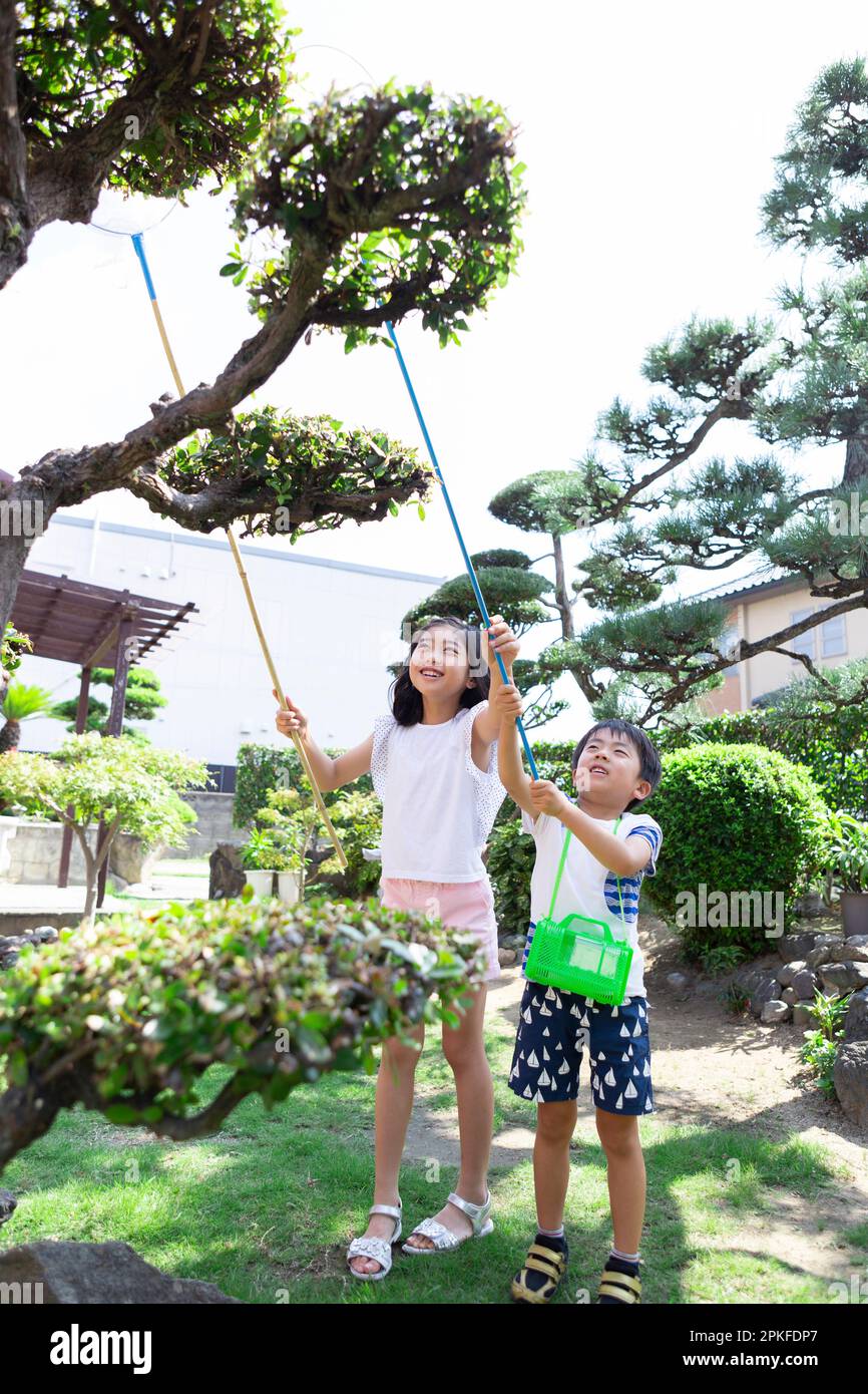 Sister and brother catching insects Stock Photo - Alamy