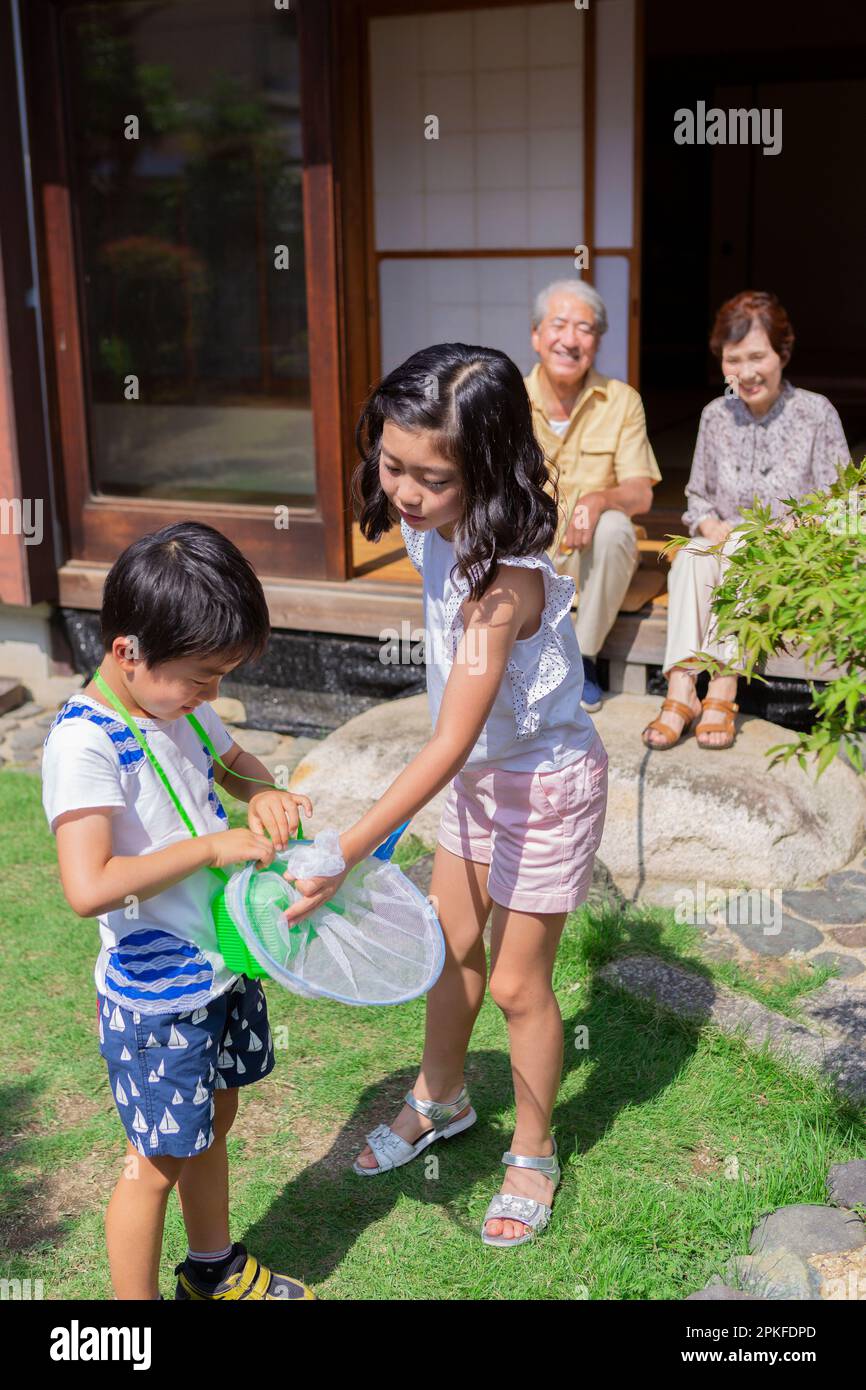 Grandparents with a younger sibling catching insects Stock Photo - Alamy