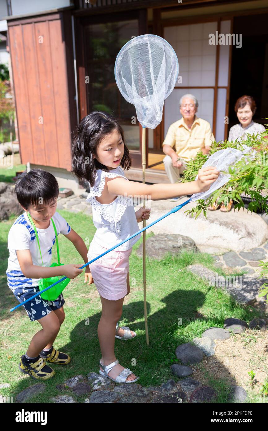 Sister and grandparents catching insects Stock Photo - Alamy