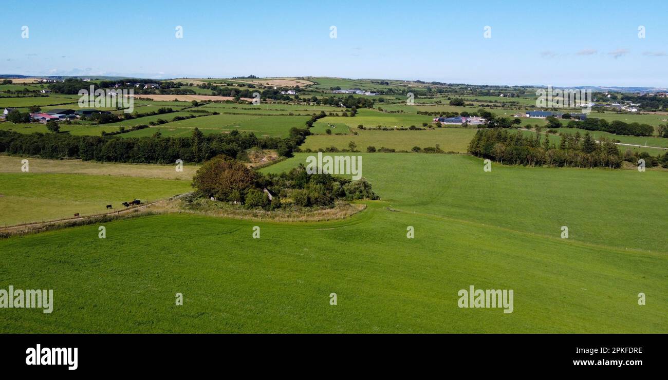 Vast green pastures for cattle in the south of Ireland. Picturesque ...