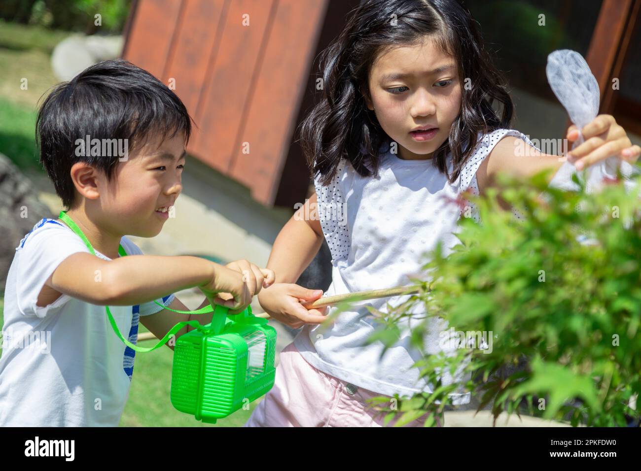 Sister and brother catching insects Stock Photo - Alamy
