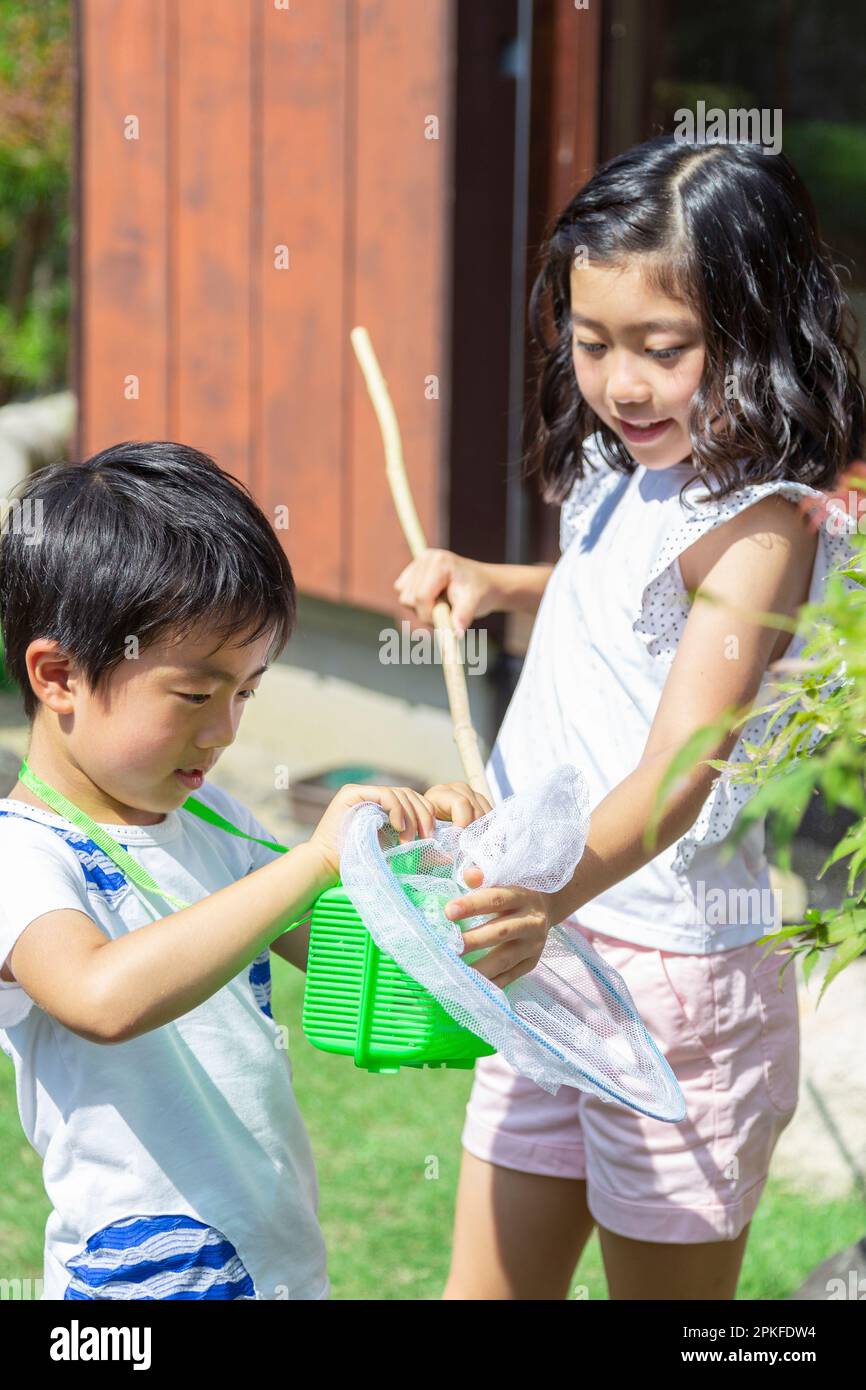 Sister and brother catching insects Stock Photo - Alamy
