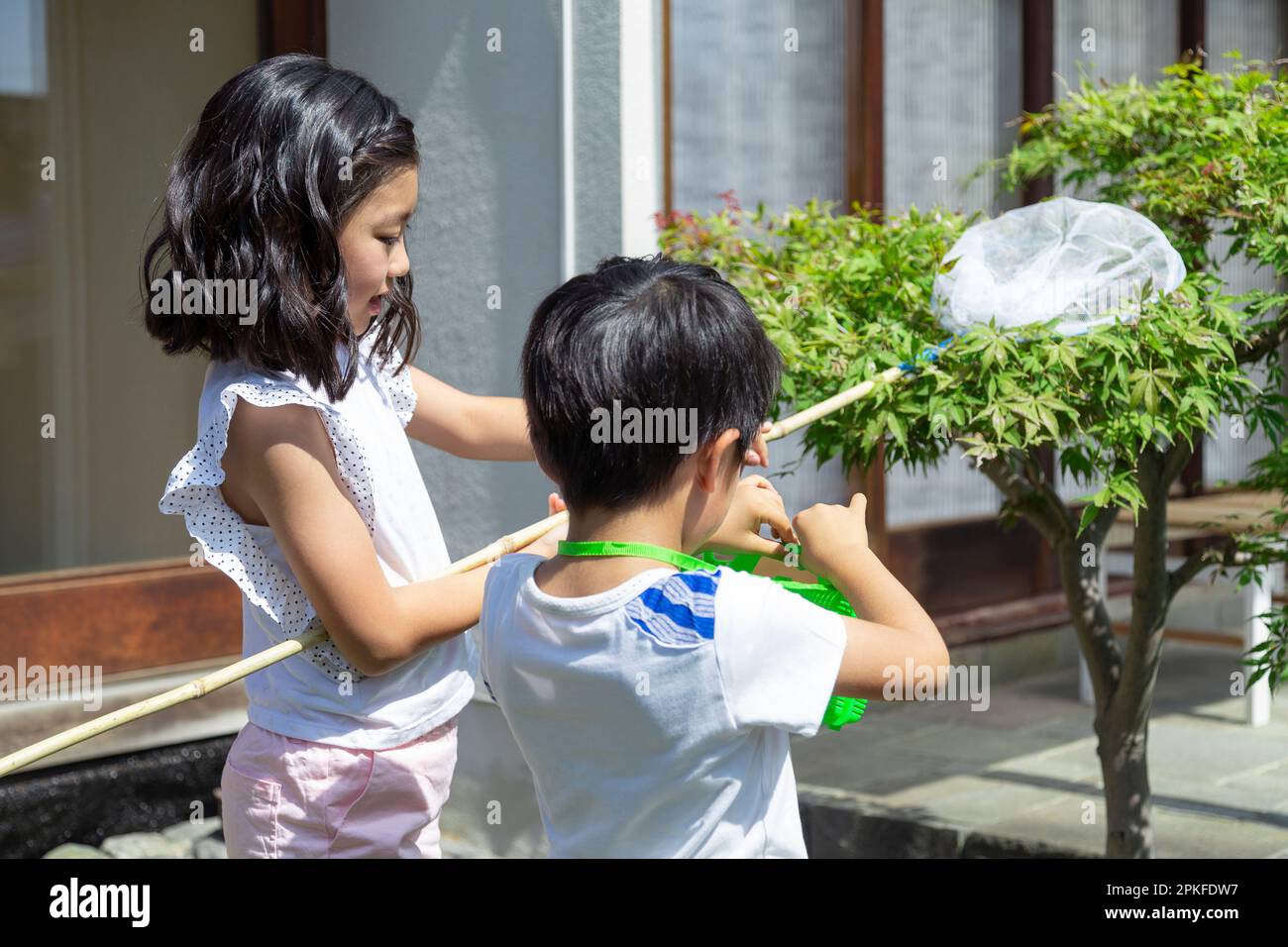 Sister and brother catching insects Stock Photo - Alamy