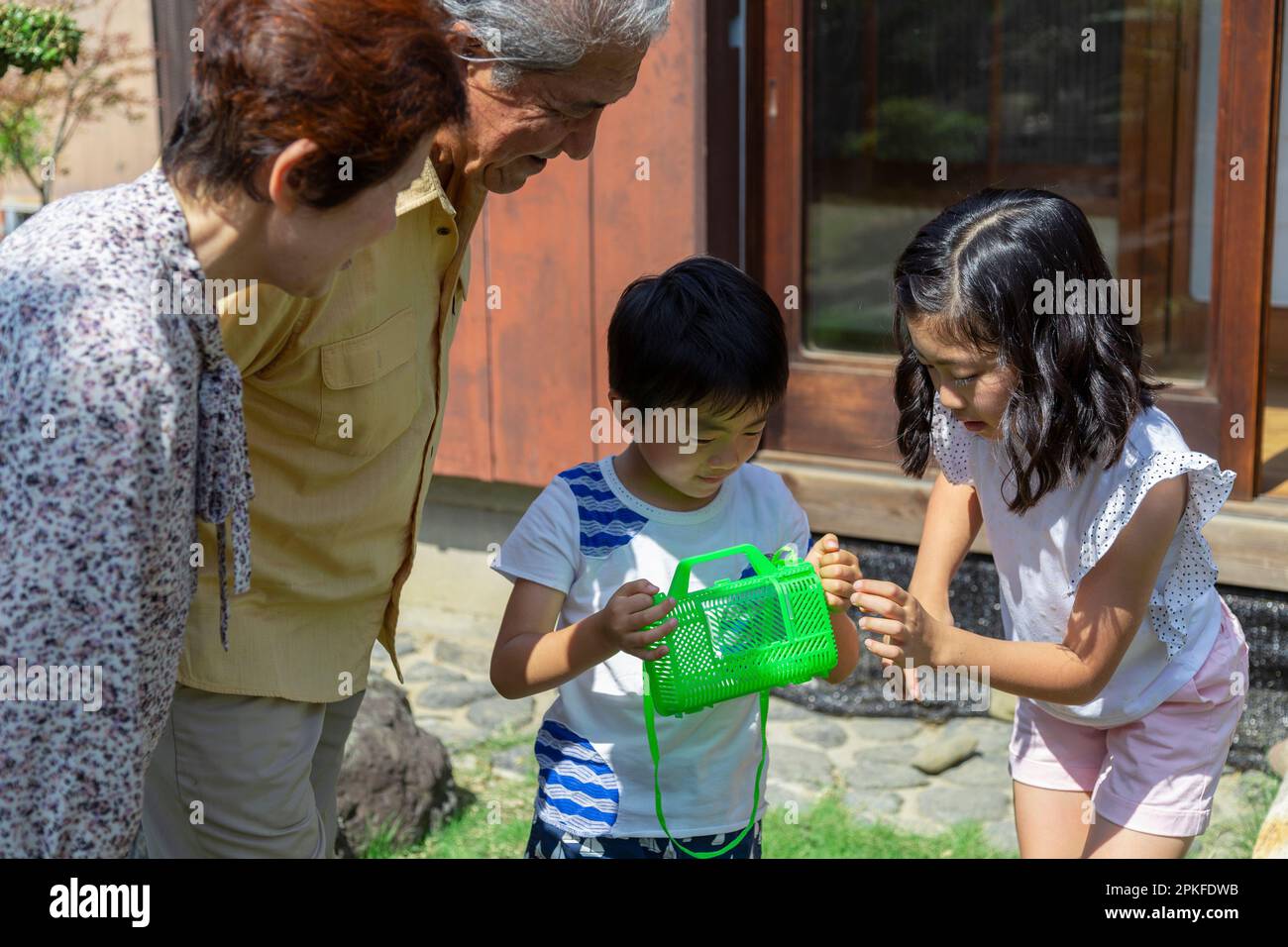 Sisters and grandparents catching insects Stock Photo - Alamy