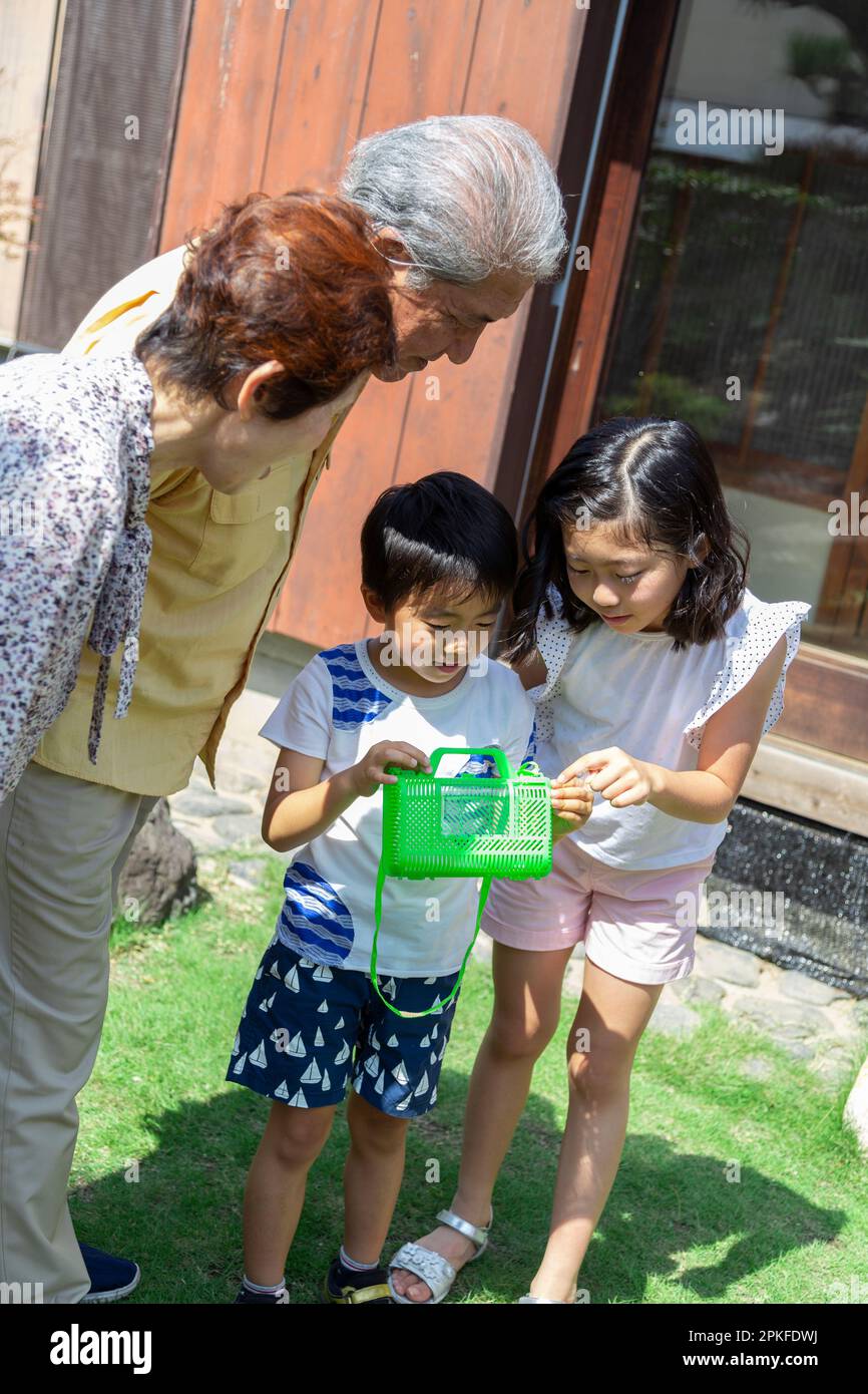 Older siblings and grandparents catching insects Stock Photo - Alamy