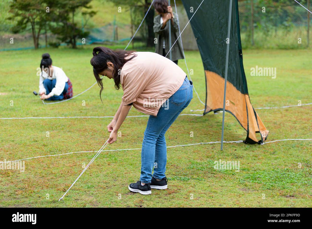 Woman Pitching Tent Stock Photo - Alamy
