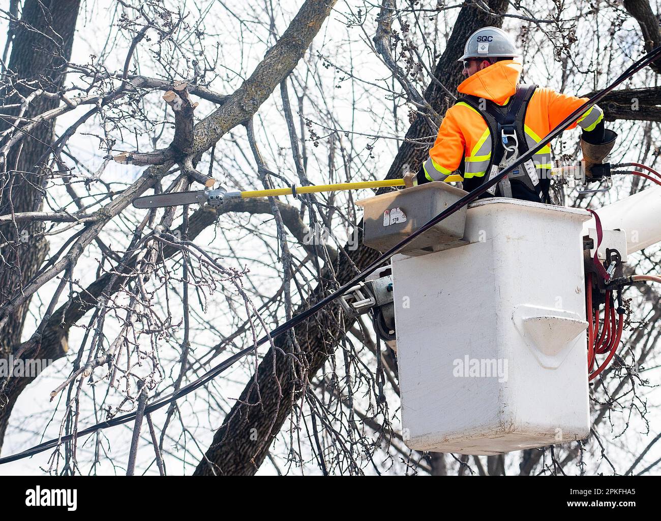 Montreal, Canada. 07th Apr, 2023. A Hydro worker works removes branches from around a power line ...