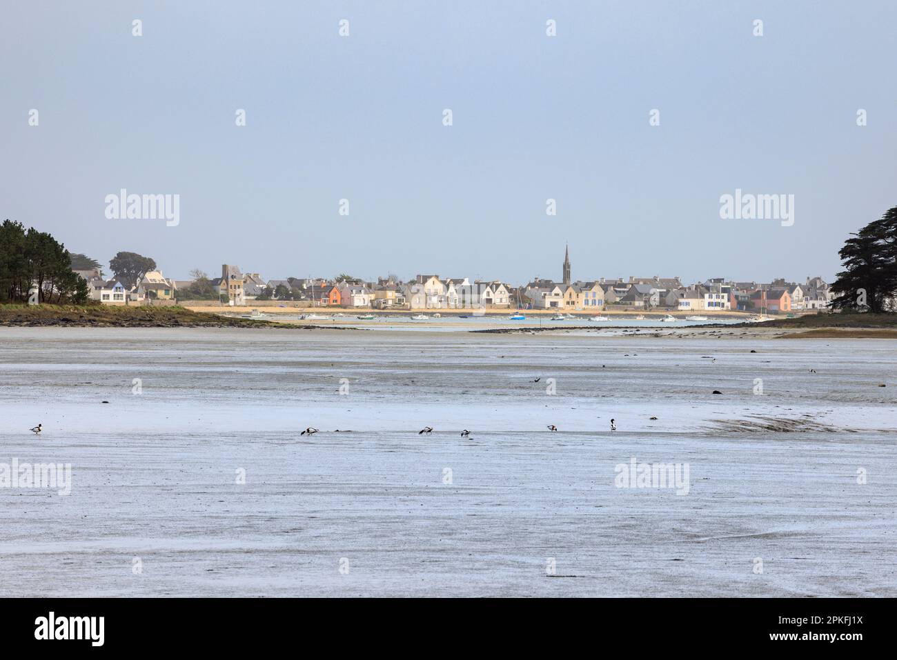 Labbe hi-res stock photography and images - Alamy