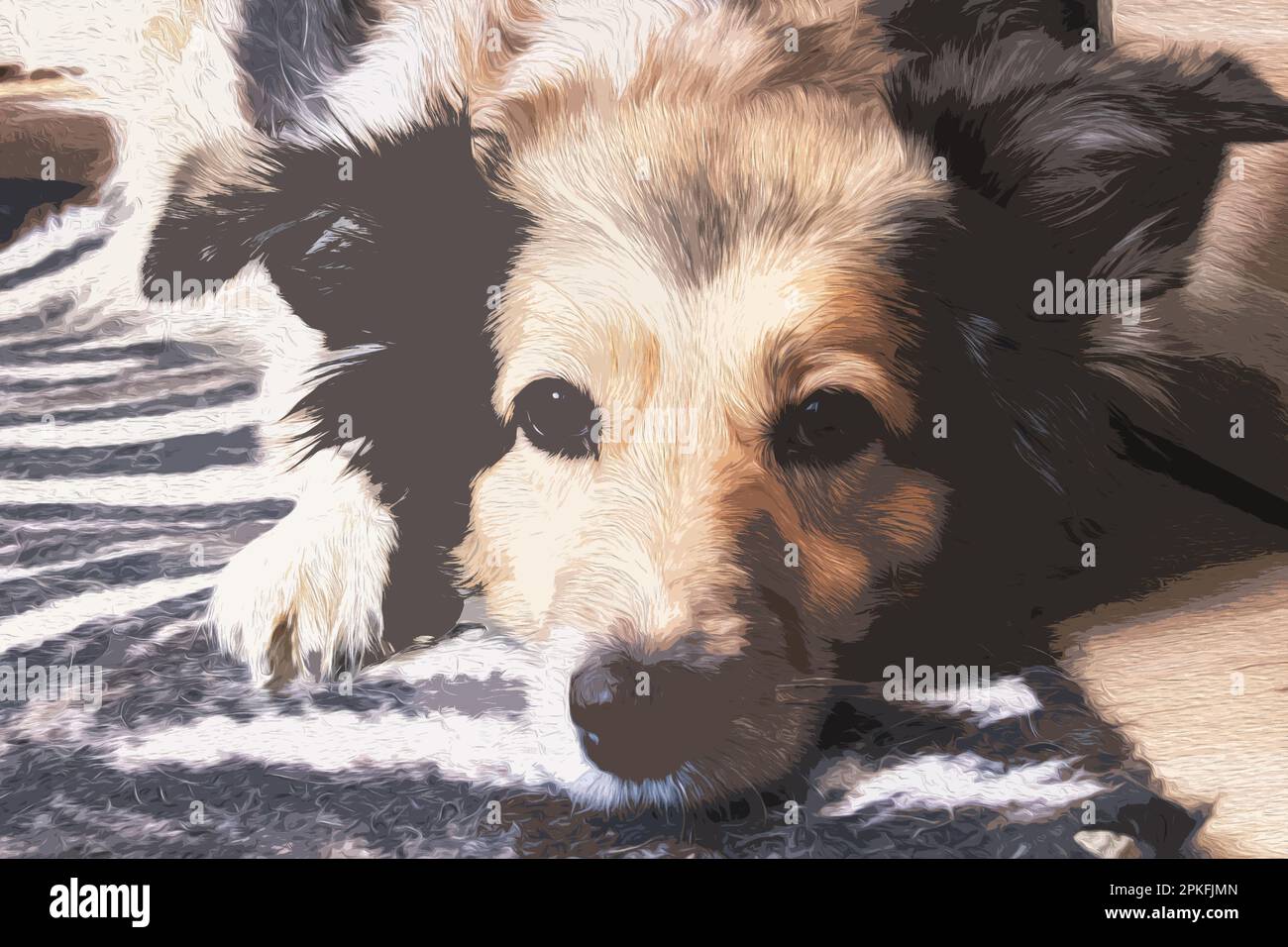 Fluffy dog close up portrait, illustration with gray tones Stock Photo ...
