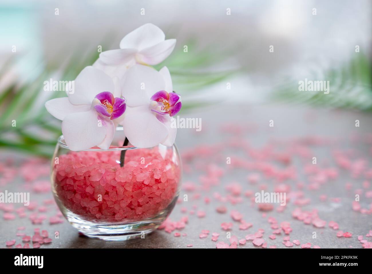 Pink orchid in a vase with pink sea salt close-up. Spa and wellness ...