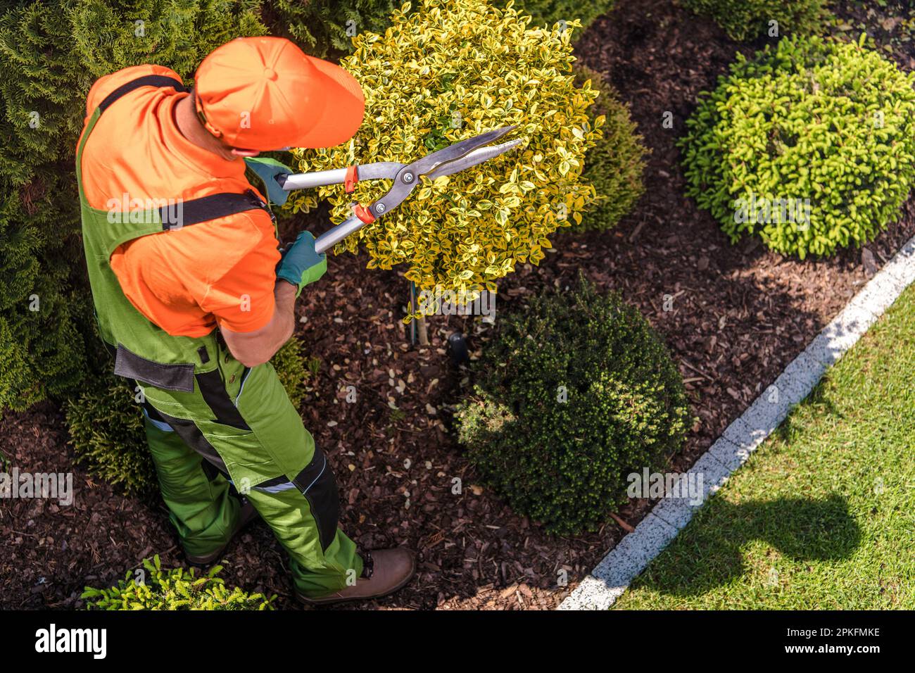 Tress and garden hi-res stock photography and images - Alamy