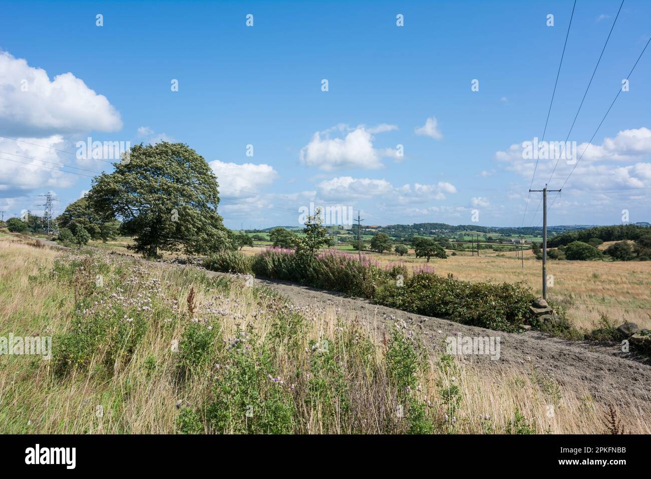 View from the Dales High Way long distance path approaching Ilkley Moor ...