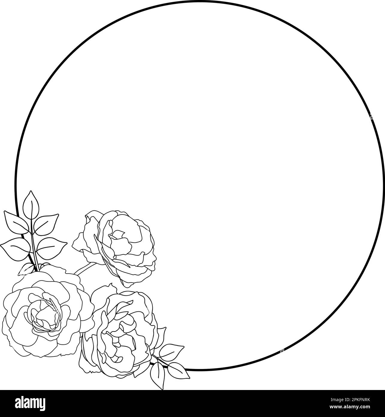 Rose line art transparent hi-res stock photography and images - Alamy