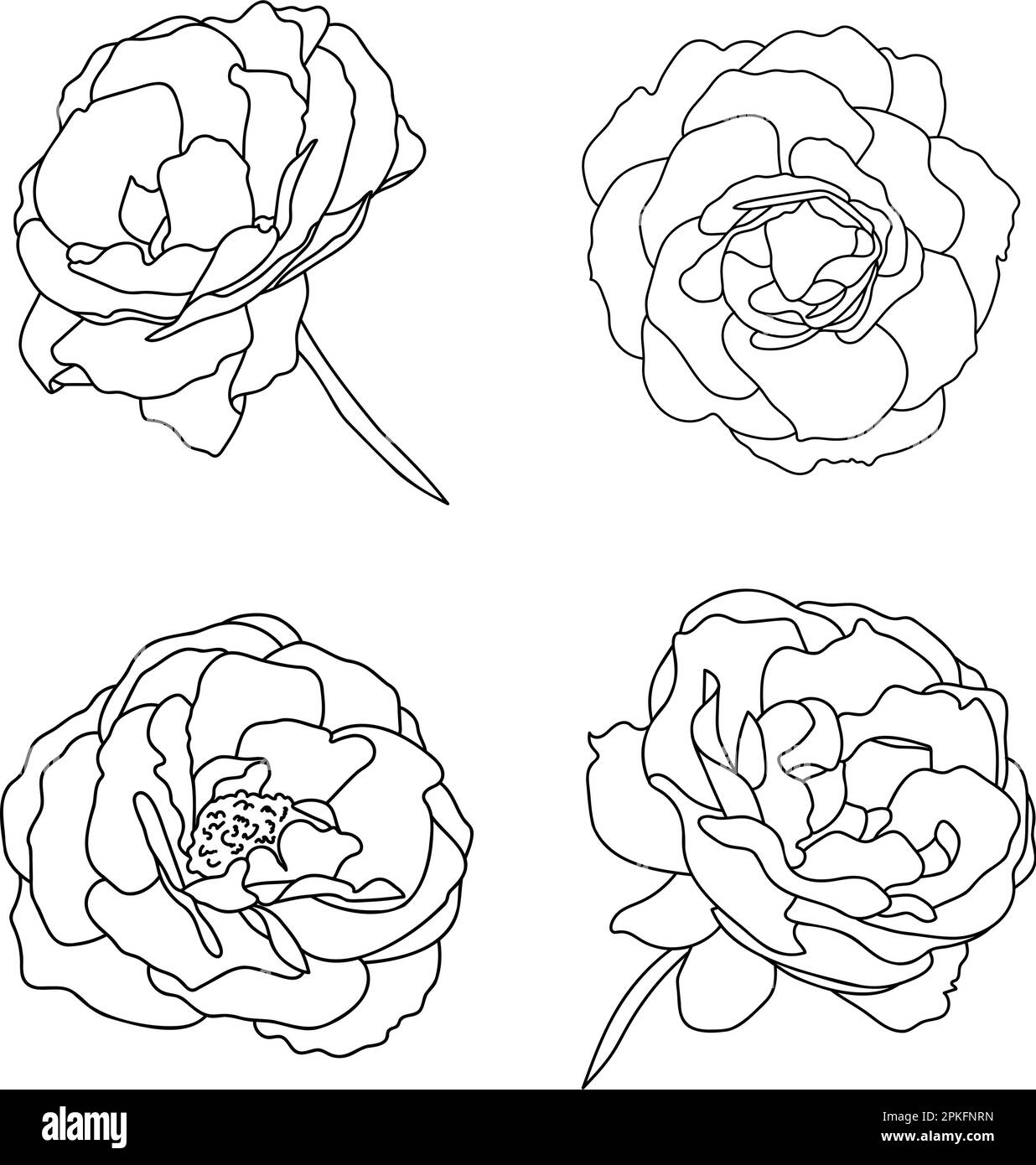 Simple rose sketches hi-res stock photography and images - Alamy