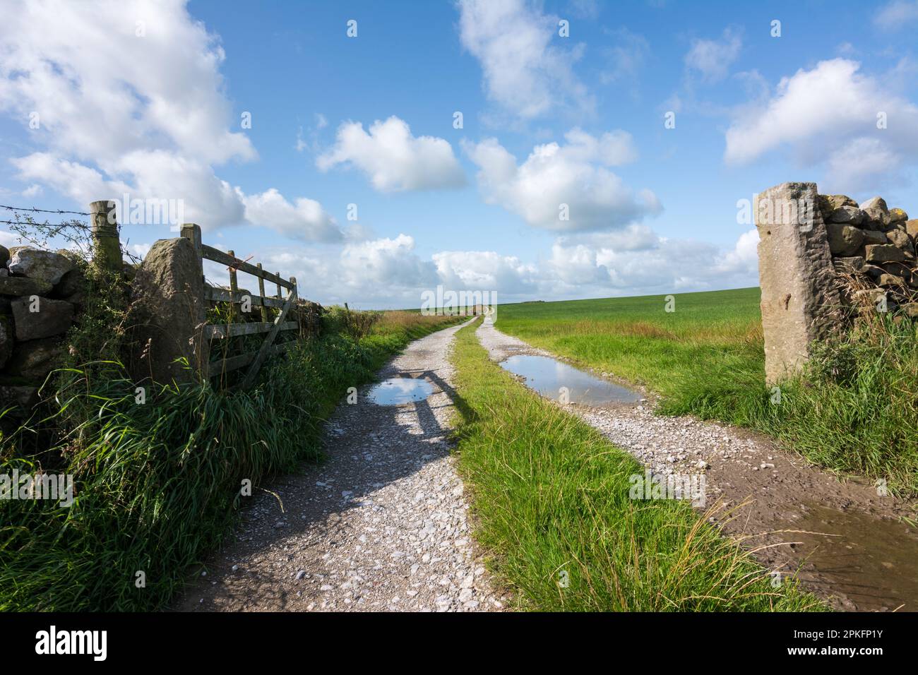 A remote rural lane and gate with fluffy clouds and blue sky above ...