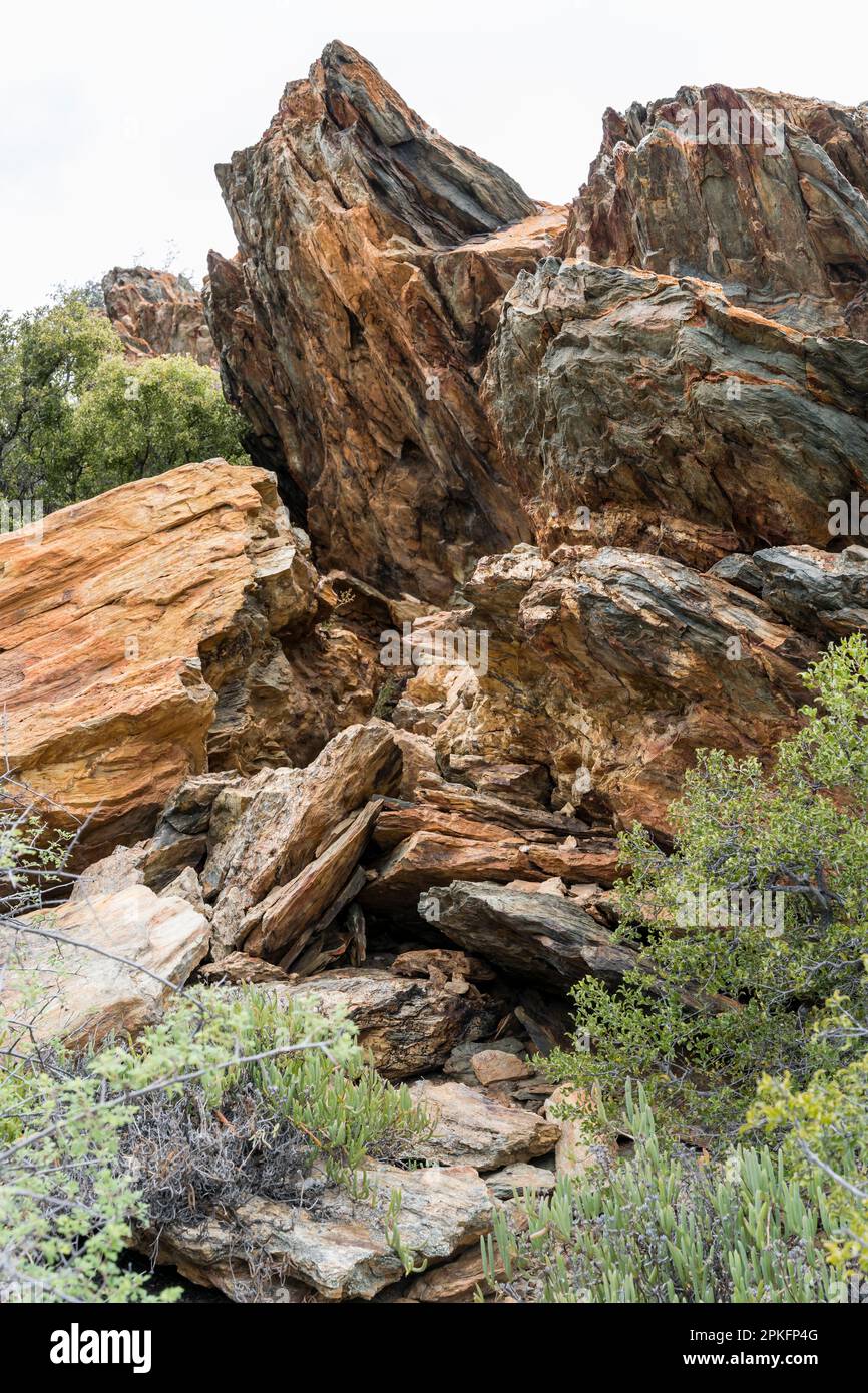 Colorful Metamorphic Rocks