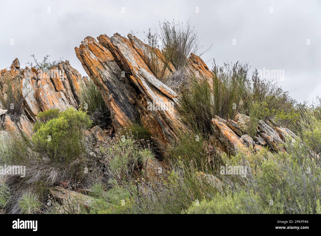 green slope and colorful boulders of metamorphic rocks, shot in bright ...