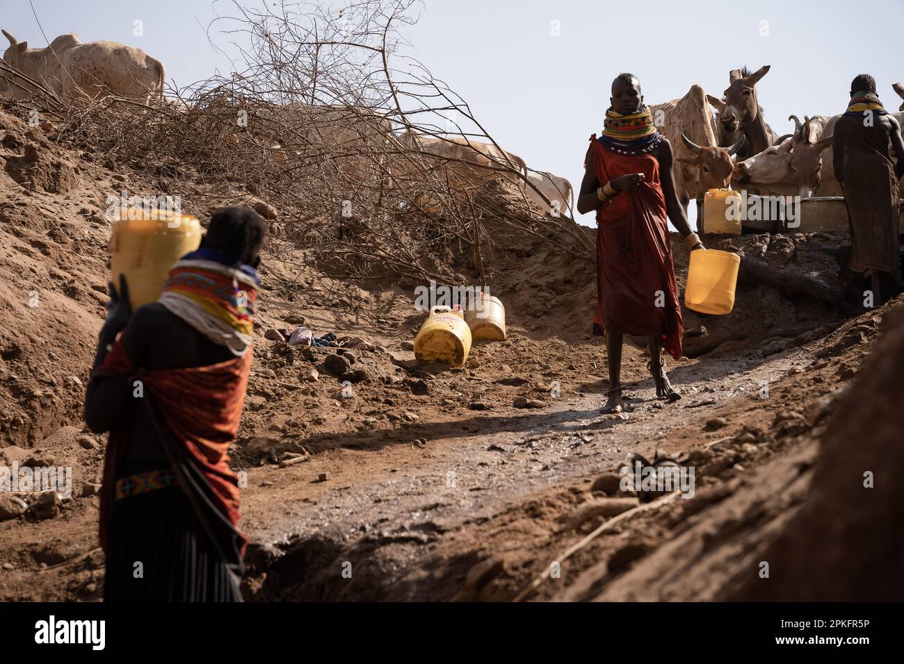 Kenya. 18th Feb, 2023. Turkana people sourcing water from a well to ...