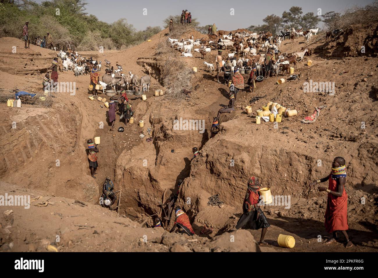 Kenya. 18th Feb, 2023. Turkana people sourcing water from a well to ...