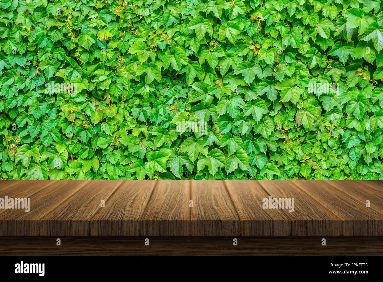 Empty top of wooden shelves and green pattern wall background. For ...