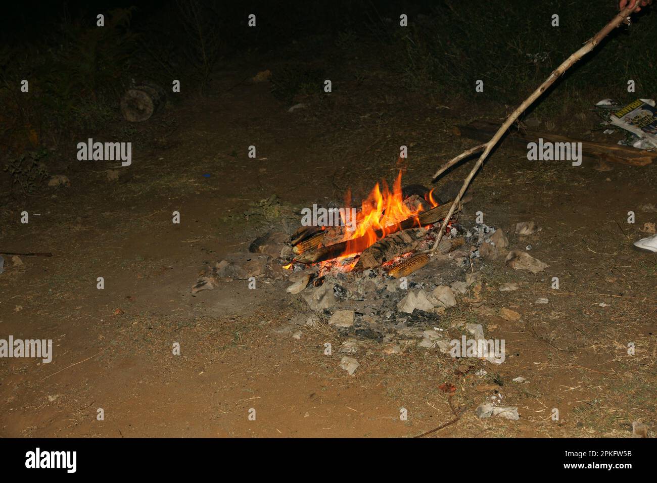 People Camping in Nature Stock Photo - Alamy