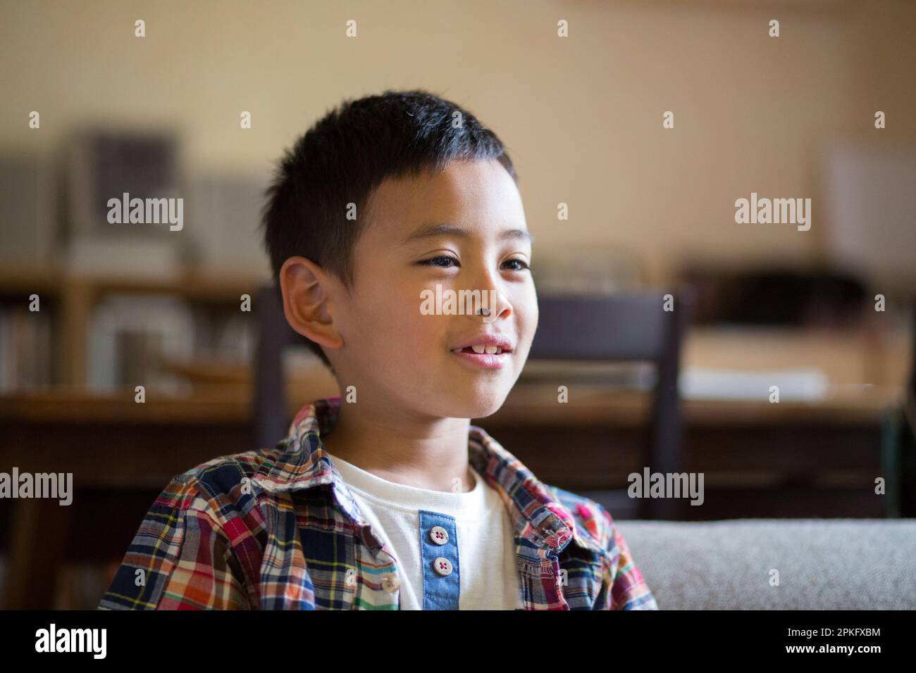 Elementary school boy in living room Stock Photo - Alamy
