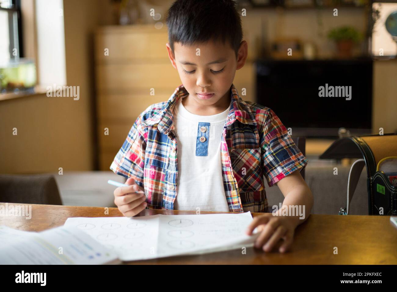 Elementary school boy doing his homework in the living room Stock Photo ...