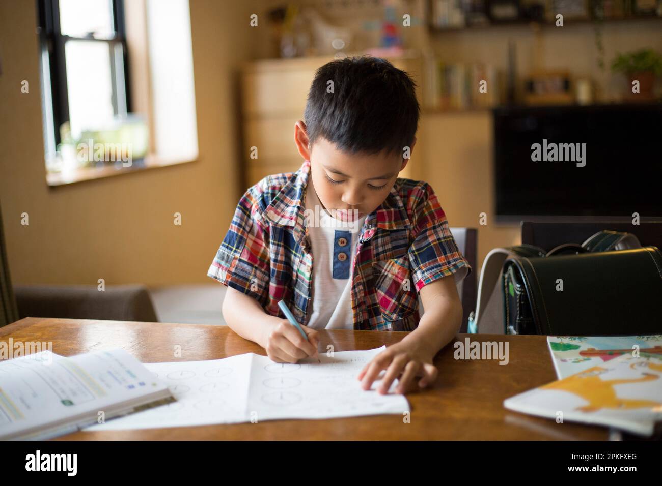 An elementary school boy doing his homework in the living room Stock ...