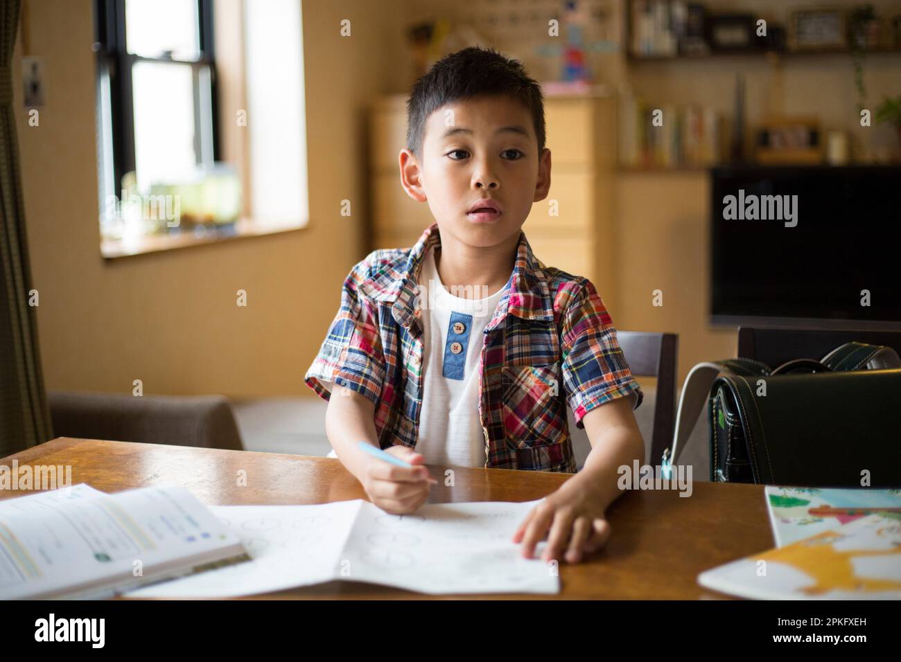 Elementary school boy doing his homework in the living room Stock Photo ...