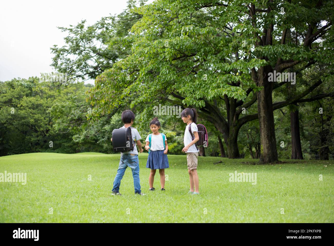 Elementary school students with school backpacks playing in a meadow ...