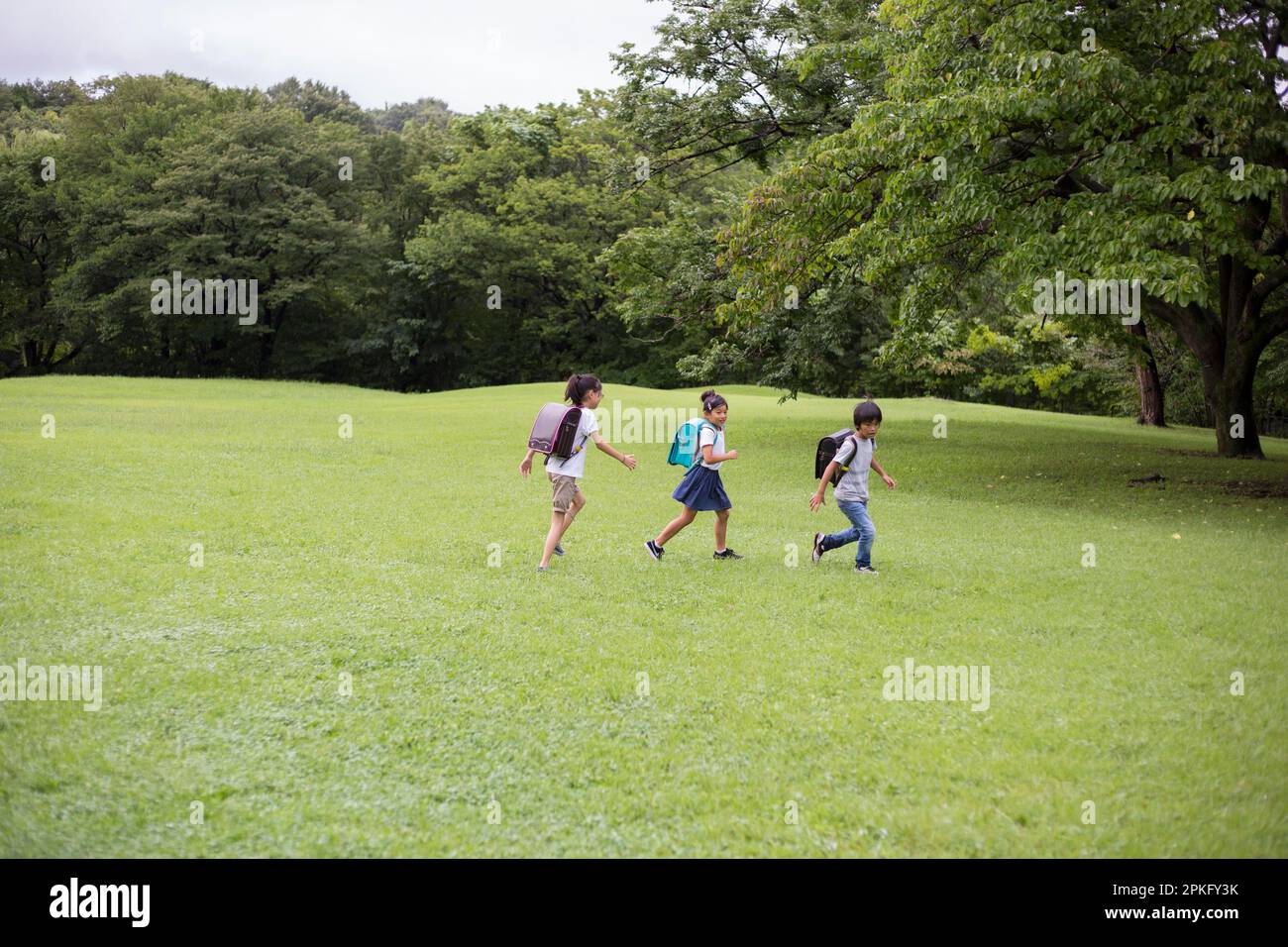 Elementary school students with school backpacks playing in a meadow ...