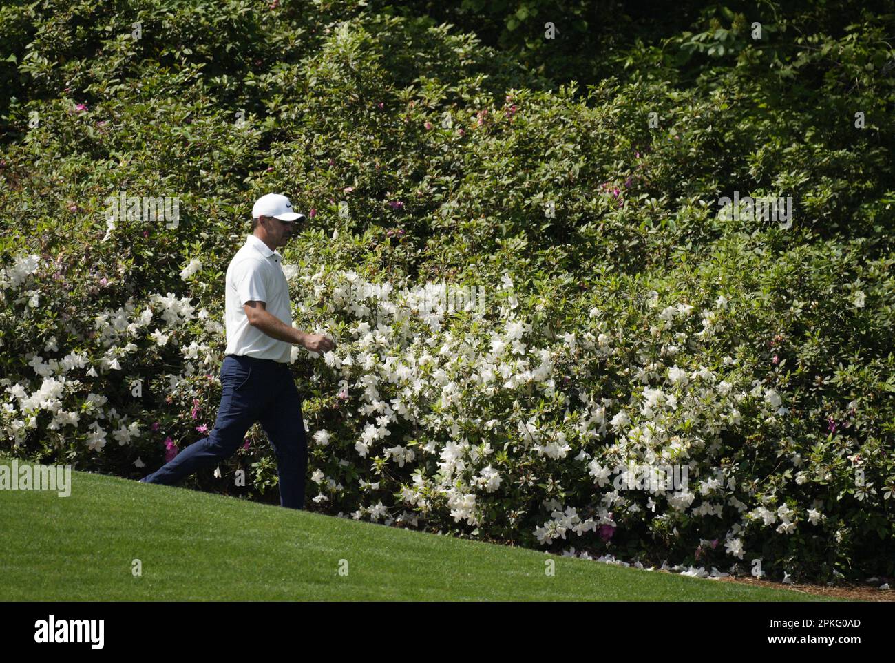 Augusta golf azalea hi-res stock photography and images - Alamy