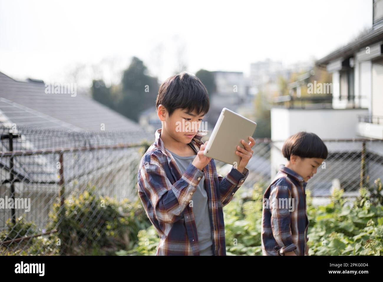 Brothers observing plants in the garden and taking pictures with their ...