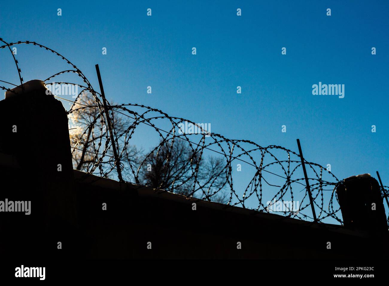 Barbed wire on the prison fence. A closed prison. Security concept ...